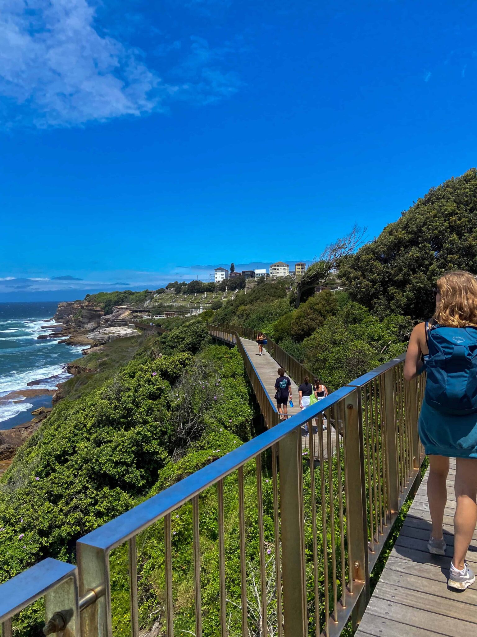 10 BEST Free or Cheap Things to do in Sydney - Letters From Holly